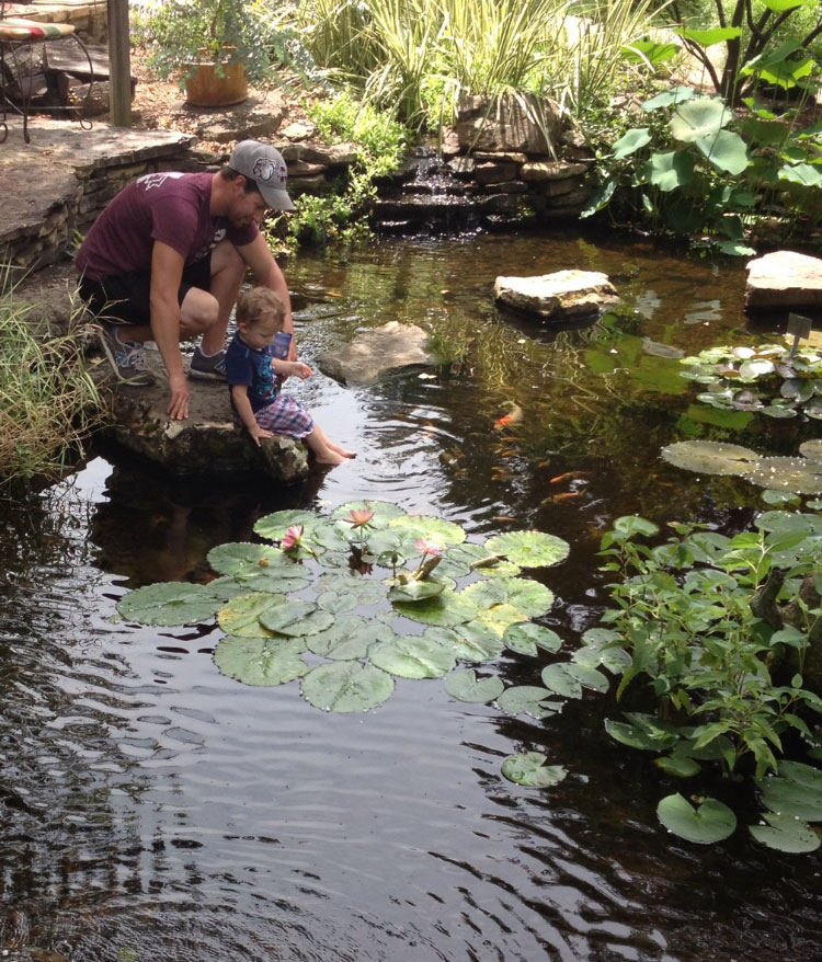 Recreational Ponds – Carter's Nursery, Pond and Patio, Inc.