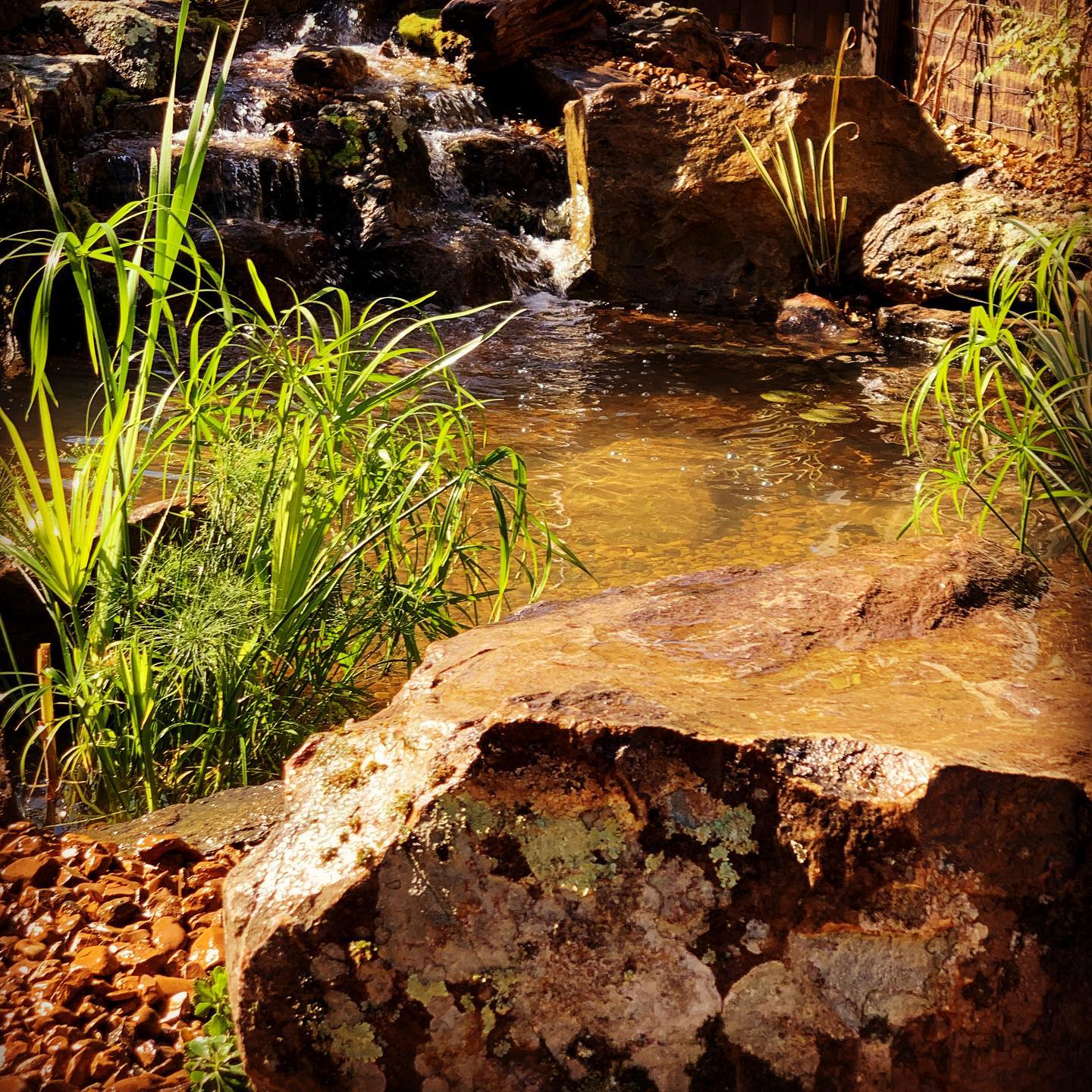 Portfolio – Carter's Nursery, Pond and Patio, Inc.